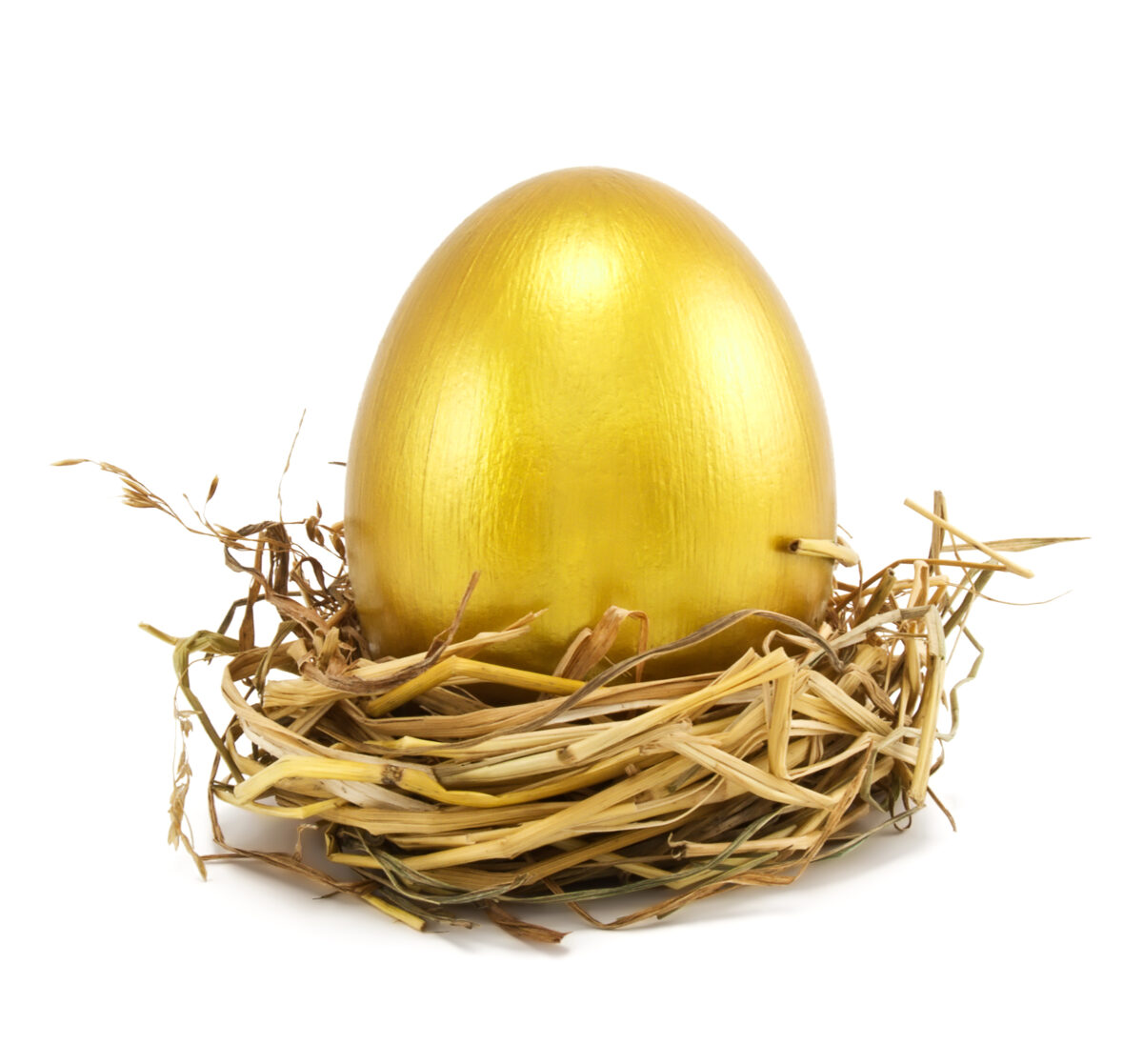 Eggsquisite Facts About Ovum (aka eggs) | The World Egg and Sperm Bank